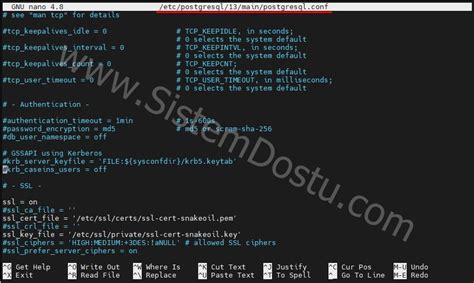 PostGreSQL 13 Streaming Replication Sistem ve Network Dünyasına