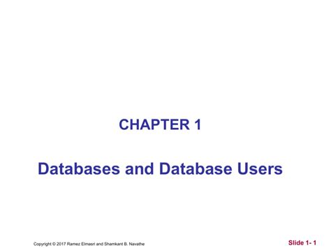 Databases And Database Users Presentation