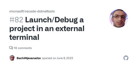 Launch Debug A Project In An External Terminal Issue Microsoft