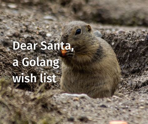 dear santa a golang wish list r golang