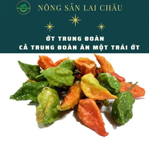 Ớt Trung Đoàn Ớt Cay Nhất Việt Nam Nông Sản Lai Châu