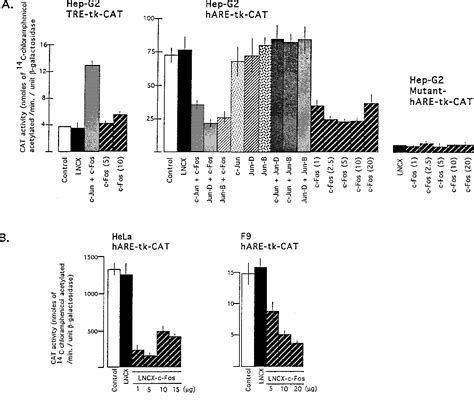 Fos Gene Semantic Scholar