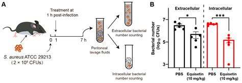 Equisetin Targets Intracellular Staphylococcus Aureus Through A Host Acting Strategy