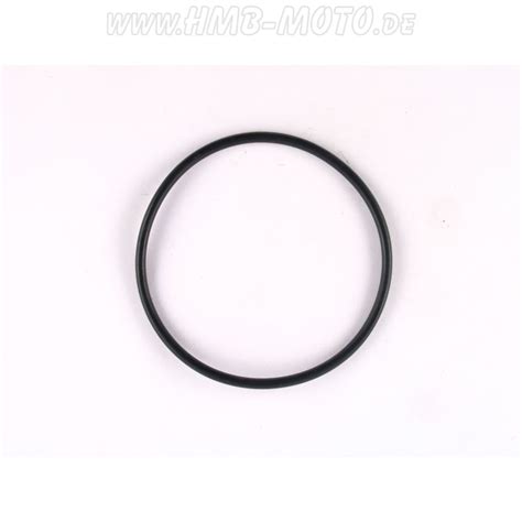 O Ring Schwinge Endantrieb Grosse Modelle 1 46