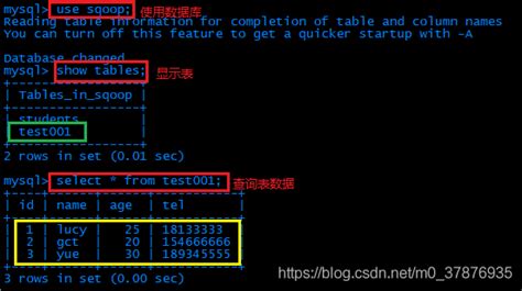 Etl工具sqoop使用etl Spoot Csdn博客