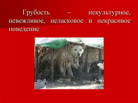 Вежливость важное средство примирения людей презентация онлайн