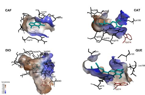 Hydrophobic Contributions In Hsa Tgc Alk And Hsa Tgc Flav Download