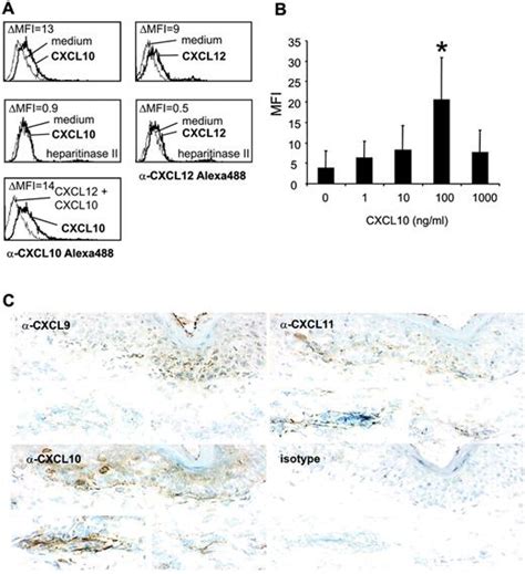 Plasmacytoid Dendritic Cell Recruitment By Immobilized Cxcr3 Ligands1