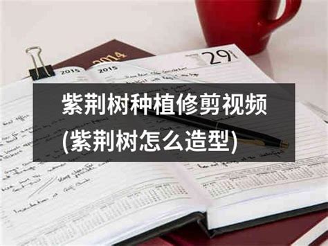 紫荆树种植修剪视频 紫荆树怎么造型 养花经验