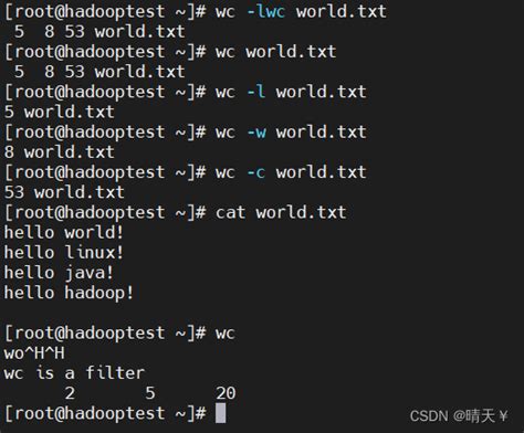 Linux 了解linux中输入输出设备文件，过滤器和管道linux 管道输出 文件 Csdn博客
