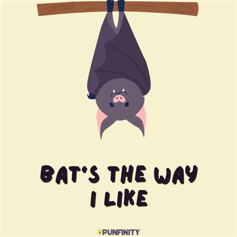 148 Bat Tastically Funny Bat Puns For Night Owls 2025