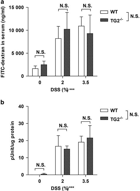In Vivo Intestinal Permeability And Myeloperoxidase Activity In Colon