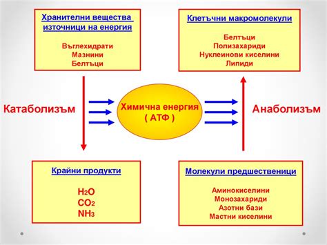ЕДИНСТВО И МНОГООБРАЗИЕ Ppt изтегляне