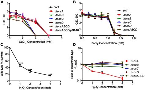 A Optical Densities Of Overnight Wild Type S Typhimurium And
