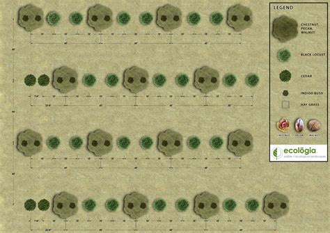 Agroforestry Ecologia Design