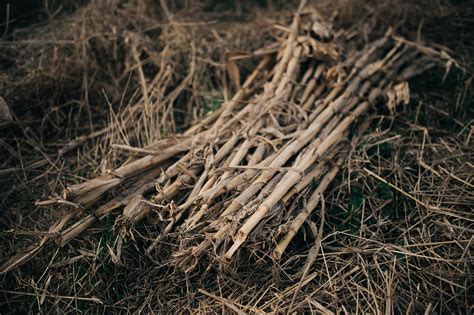 Configuring Webpack Logic For Bundling Jamal Jackson S Portfolio