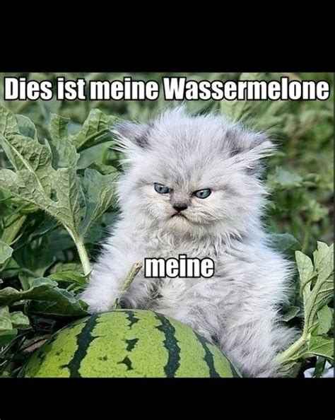 Whenever Im Feeling Down I Look At This Picture Meme Guy