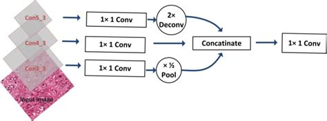 The Flow Diagram Of Multi Scale Features Concatenation Strategy To Download Scientific Diagram