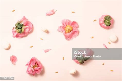 여름 컨셉입니다 플랫레이 상단 보기 노란색 배경에 꽃이있는 창조적 인 레이아웃 0명에 대한 스톡 사진 및 기타 이미지 0명