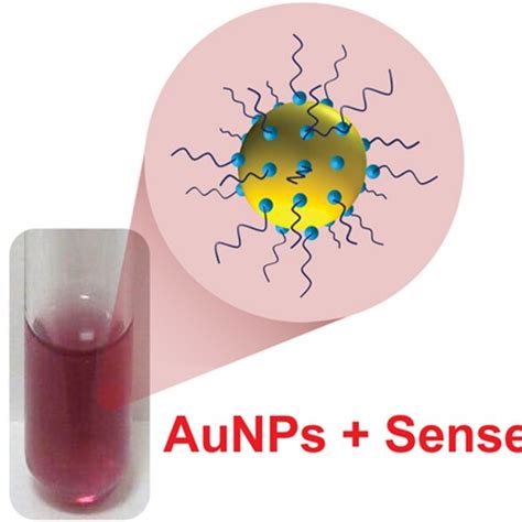 UV Vis Absorption Spectrum Changes Of AuNPs Solution In The FANSAO