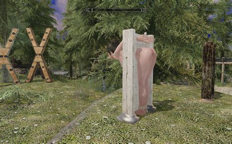 Devious Devices Framework Development Beta Page 210 Sexlab Framework Loverslab