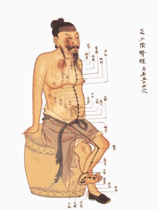 Qué es el Kyusho Jutsu Budo Kai