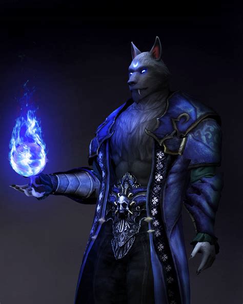 The Wolf Mage By Xtribute On Deviantart