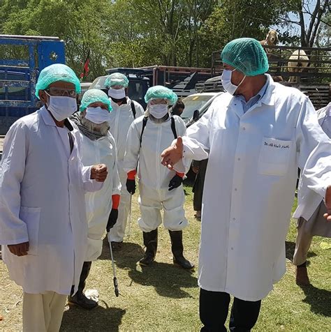 آمریت خدمات مالداری و صحت حیوانی ریاست زراعت ولایت کاپیسا Kabul