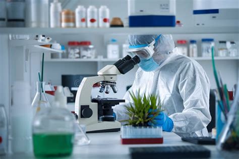 Laboratory Scene With Microscope And Green Plant Sample Indicating