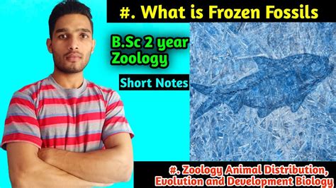 Frozen Fossils