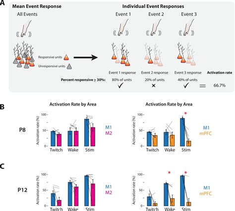 Figures And Data In Activity In Developing Prefrontal Cortex Is Shaped By Sleep And Sensory