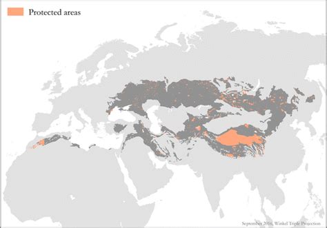 Asian Steppe Map