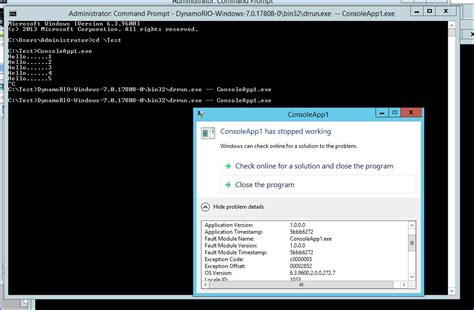 Drrun Crashes Immediately For Simple Dotnet Console Application Issue Dynamorio
