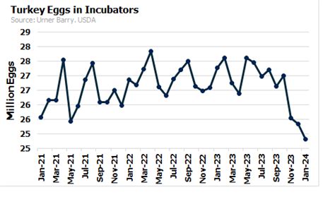 Analysis Unraveling Turkey Production Dynamics