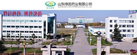 山东绿因药业有限公司招商产品电话地址介绍 环球医药招商网