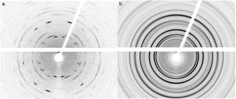 X Ray Diffraction Patterns Mo Kα Radiation A Of A Lapilli Otolith Download Scientific