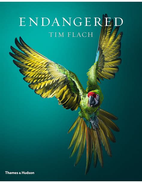 Thames And Hudson Endangered By Tim Flach David Jones