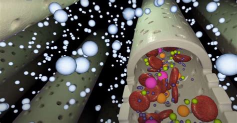 美国医疗机构用pico Vr头显探索vr培训在肾透析治疗中的应用 映维网资讯