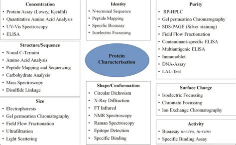 Analytical Methods For Protein Characterisation Download Scientific
