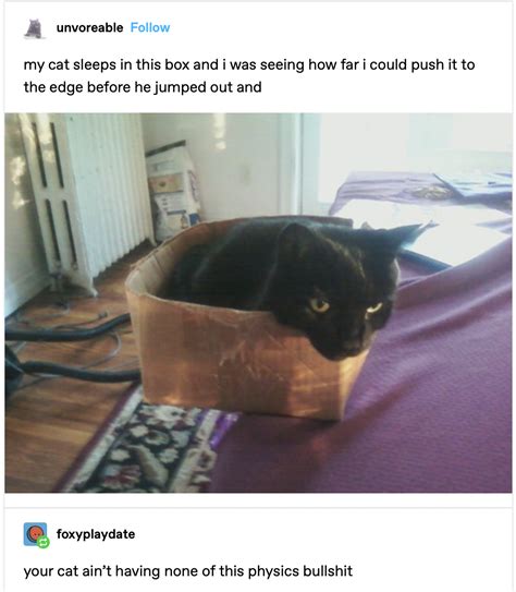 Cats Vs Physics Rtumblr