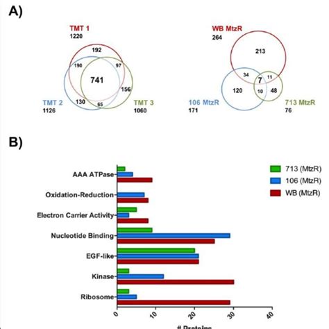 Protein Identification Differential Expression And Functional