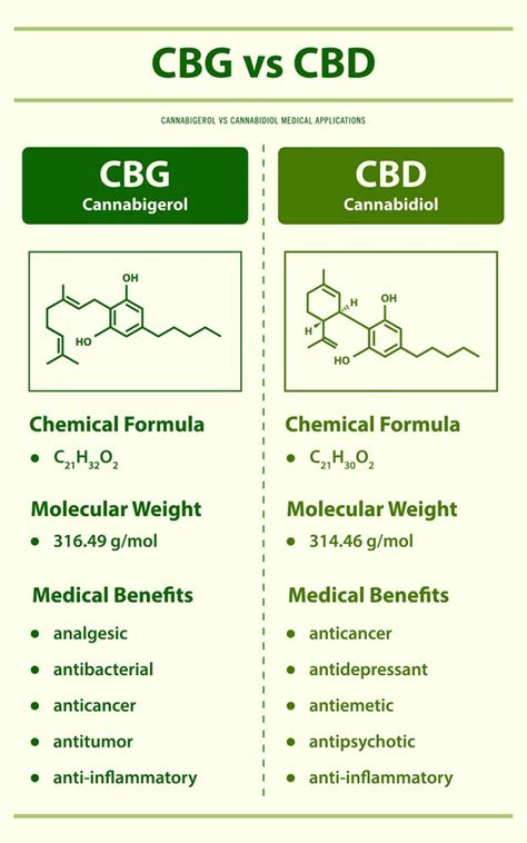 Cbg Vs Cbd You May Absolutely Benefit From Using Both