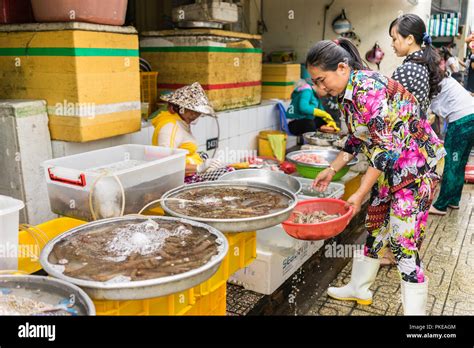 Ho Chi Minh City Vietman October 21 2016 Freshly Caught Fish And
