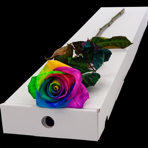 Buy Happy Rainbow Roses Online With Free Delivery From Interrose