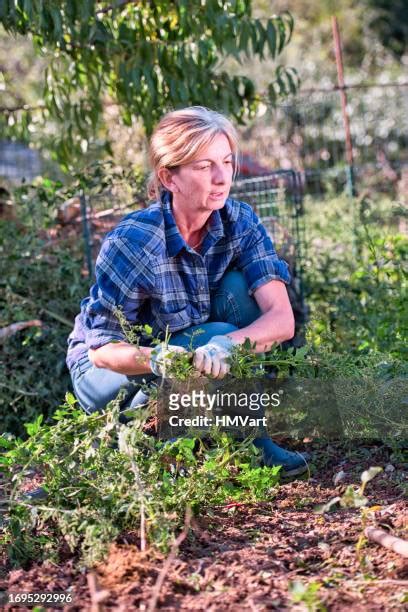 Older Woman Weeding Photos And Premium High Res Pictures Getty Images