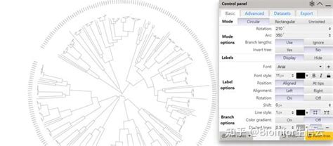 基因家族分析（3）进化树构建及美化 知乎