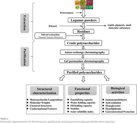 Figure 1 From A Review Of Extraction Purification Structural Properties And Biological