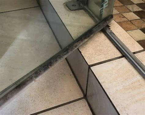Shower Doors Queenbox Frameless Shower Door Bottom Seal 70cm Clear Pvc