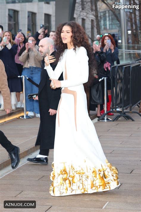 Zendaya Sexy Shows Off Her Peaked Nipples In A Stunning Dress At Dune