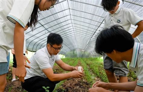 党建赋能 铺就乡村振兴幸福路 华东交通大学